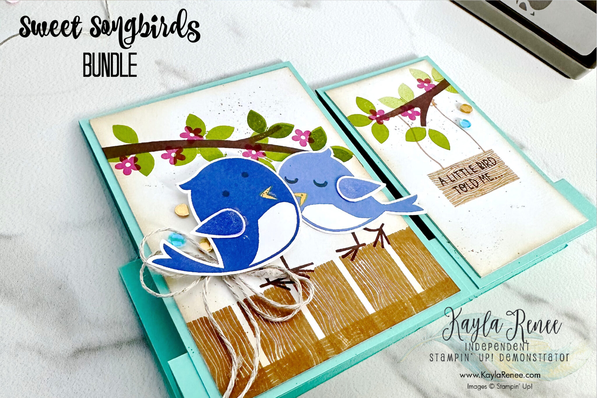 Stampin’ Up! - Sweet Songbirds - Faux Double Step Card - Kayla Renee ...