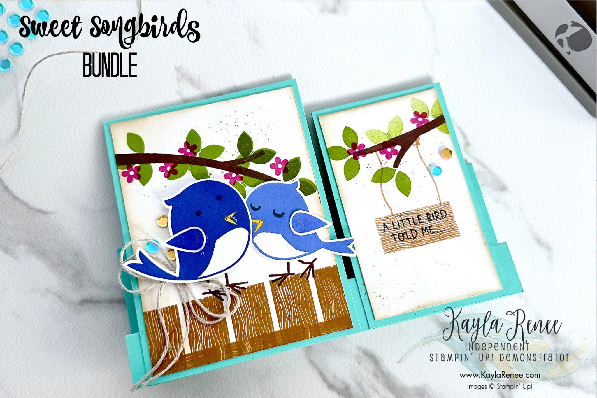 Stampin’ Up! - Sweet Songbirds - Faux Double Step Card - Kayla Renee ...