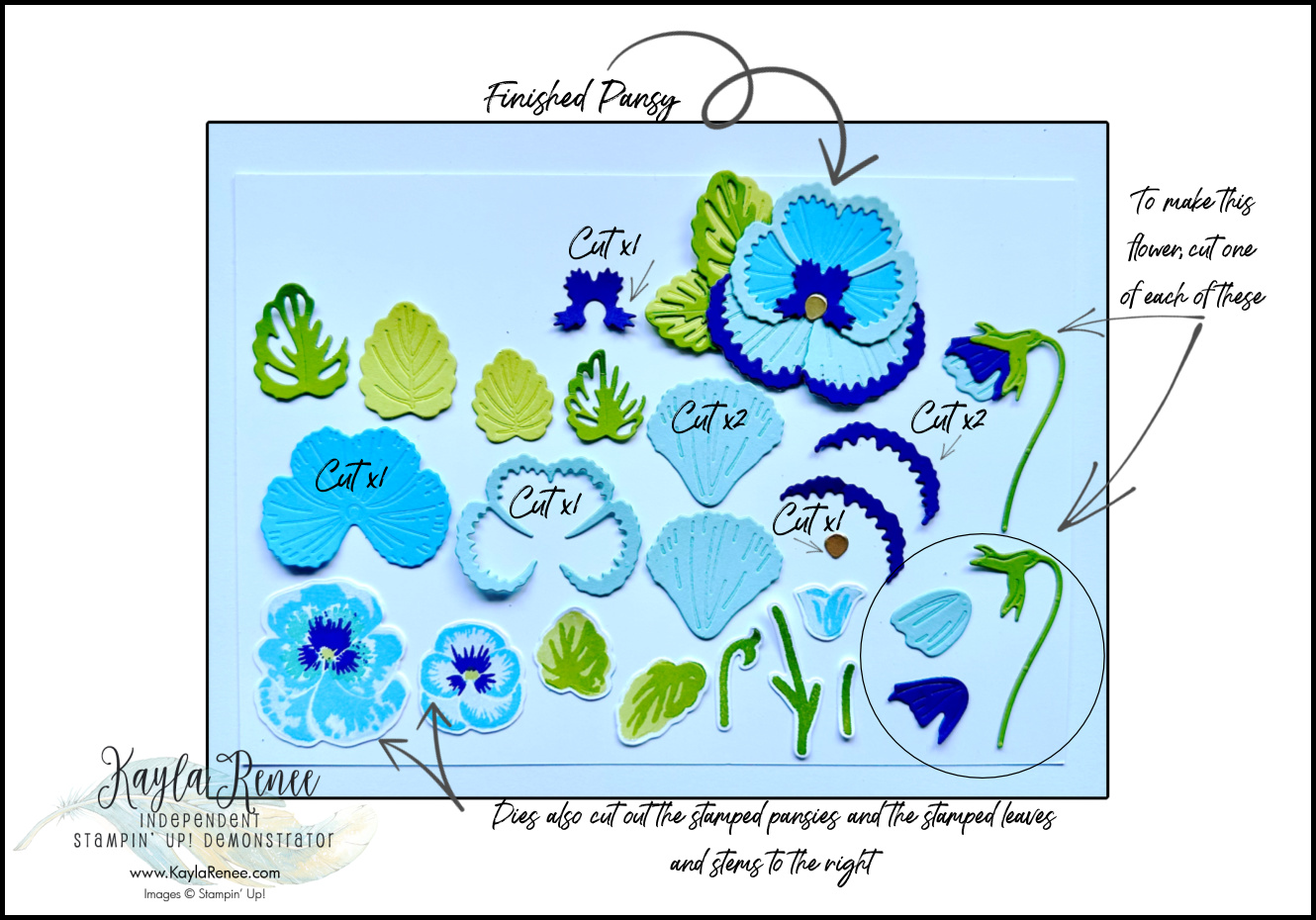 Die Cutting Tips using Stampin’ Up! Pansy Patch Bundle